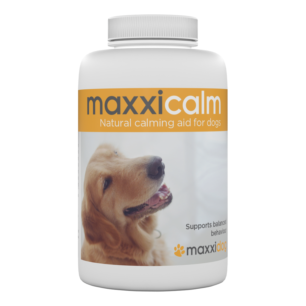 maxxipaws® - maxxicalm for dogs – Avenue 4 Paws
